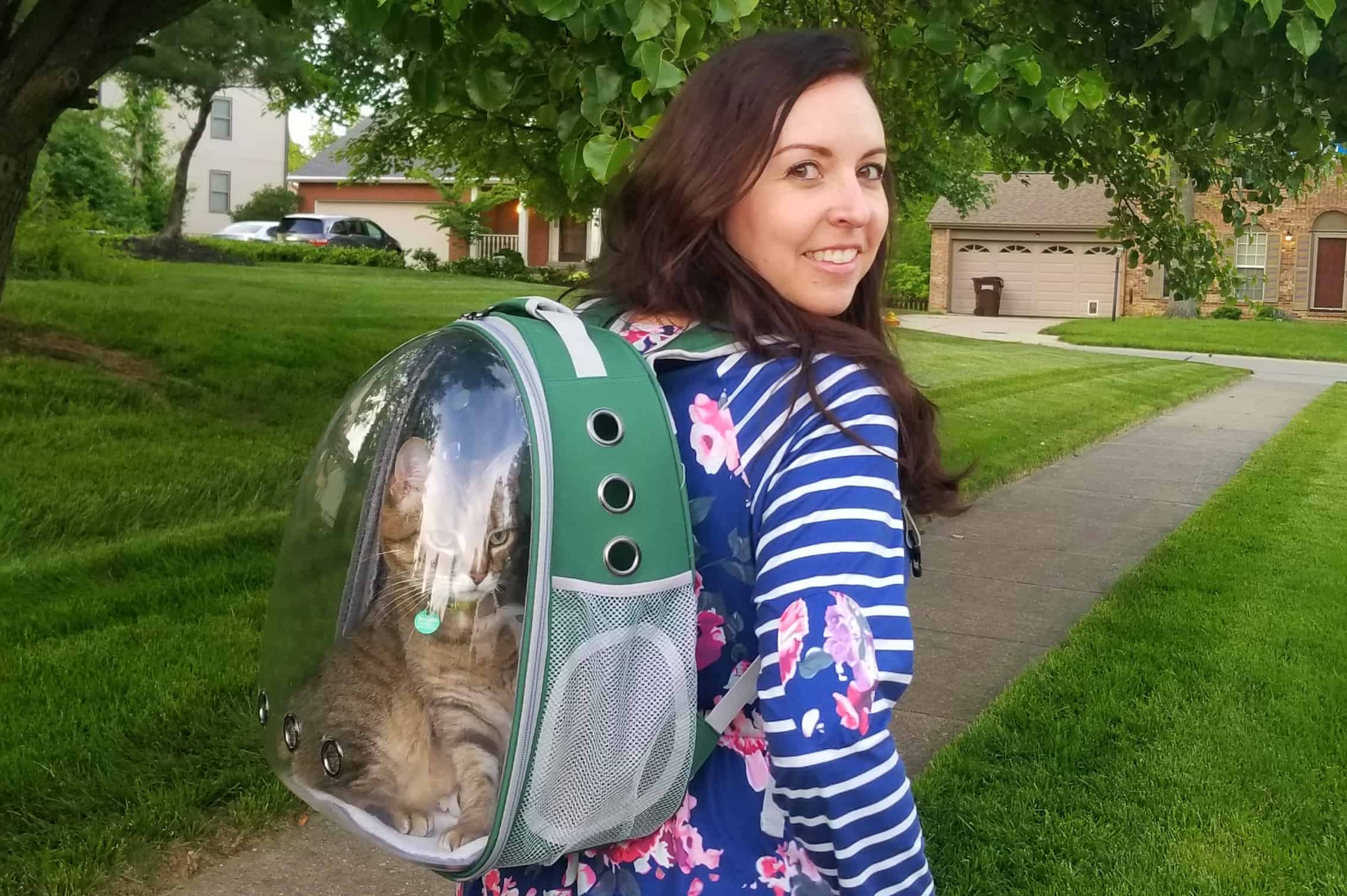 Crazy Cat Lady Gifts: 10 Products You Need!